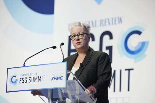 NSW Energy Minister Penny Sharpe says community hostility to poles and ...