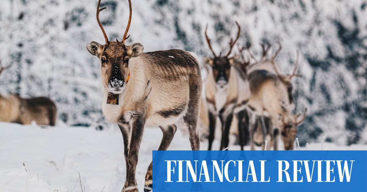 I visited the Lapland town where Santa lives