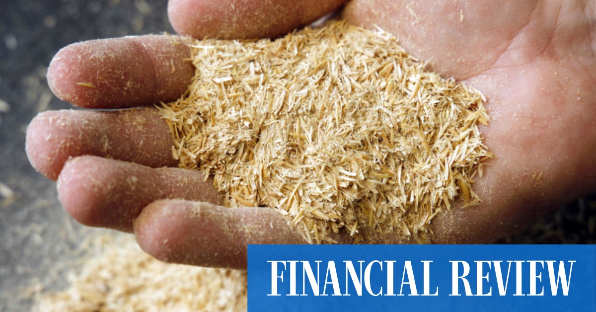 Energy Minister Chris Bowen urged to unleash biogas to soothe crisis