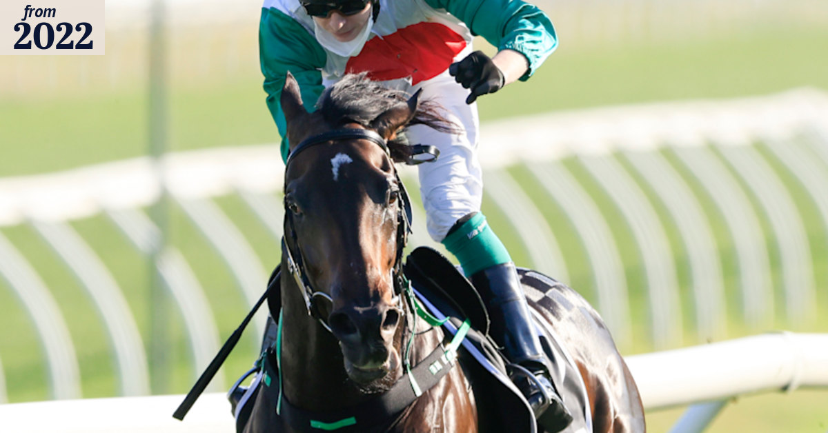 Profondo gives away experience and maturity to Guineas stars