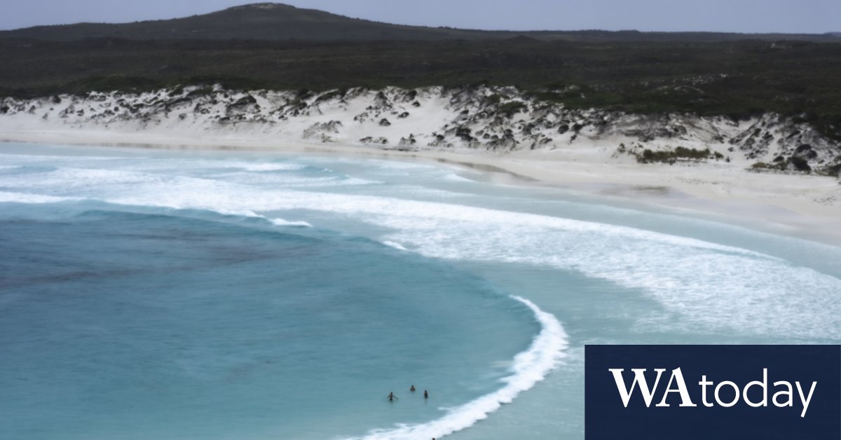 Shark attack Esperance, Wharton Beach: Surfer missing, surfboard found ...
