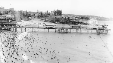 Super sleuths take deep dive into 'shark arm' case