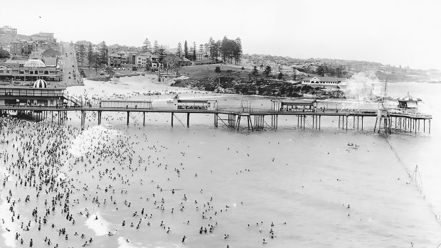 Super sleuths take deep dive into 'shark arm' case