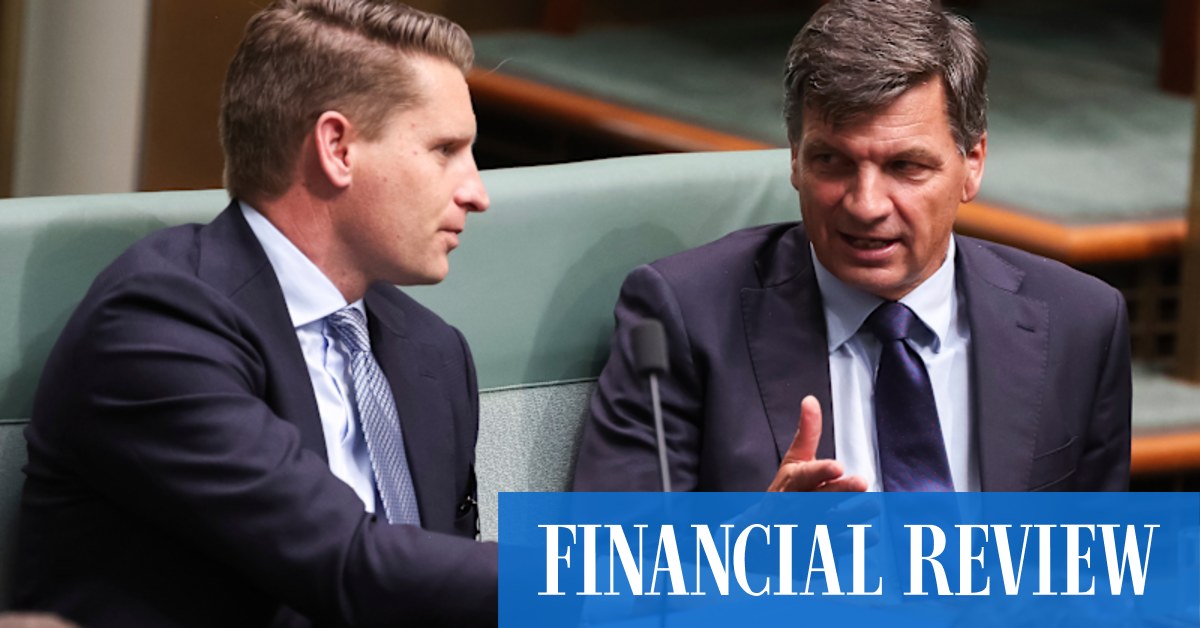 Liberal leadership: Andrew Hastie and Angus Taylor ahead of Sussan Ley ...