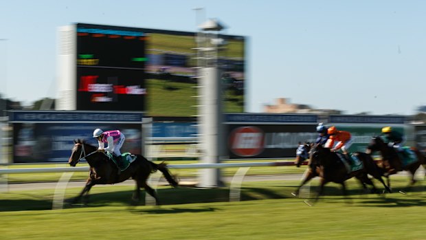Race-by-race guide and tips for Newcastle