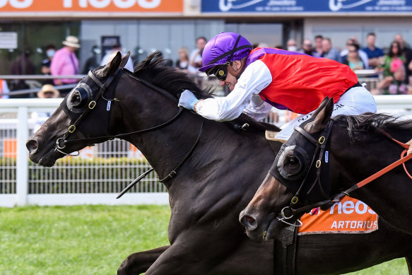 Randwick races Saturday: Agreeable chases Winter Stakes for Anthony and ...