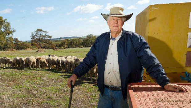 Live exports: Farmers vow to hurt Labor over live sheep export ban
