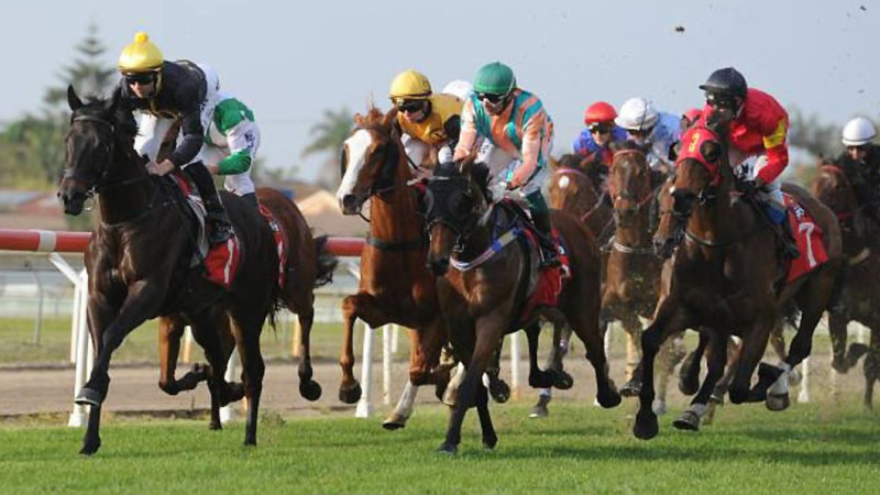 Race-by-race guide and tips for Taree on Monday