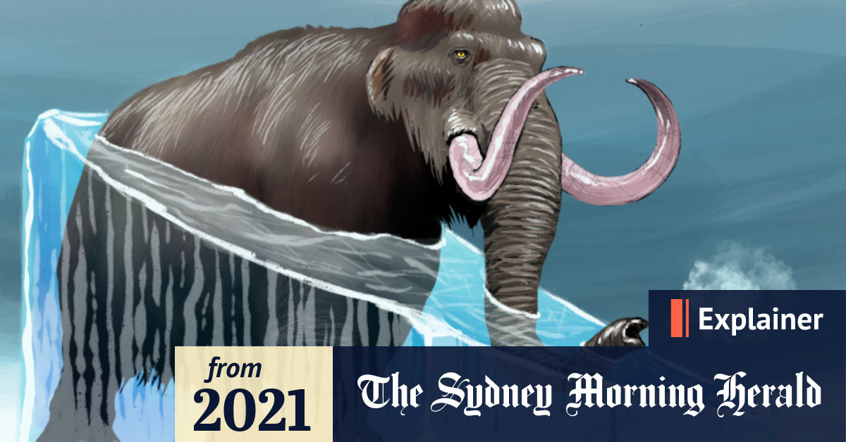 De-extinction: Could we bring back dinosaurs, mammoths and Tasmanian ...