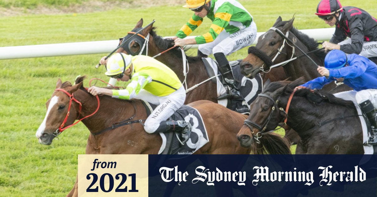 ‘Flat-track bully’: Pride certain Eduardo has beating of Nature Strip