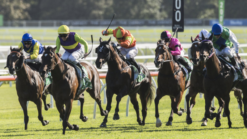 Race-by-race guide and tips for Randwick on Saturday