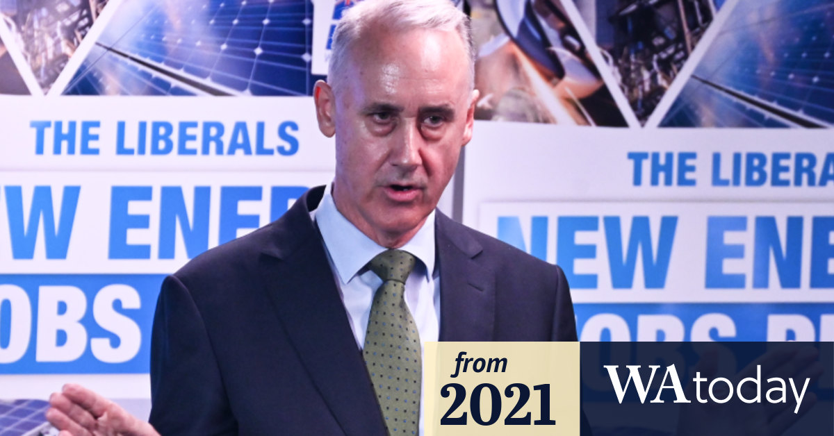 New WA Liberals leader urges preselection changes to combat ‘weaponised ...