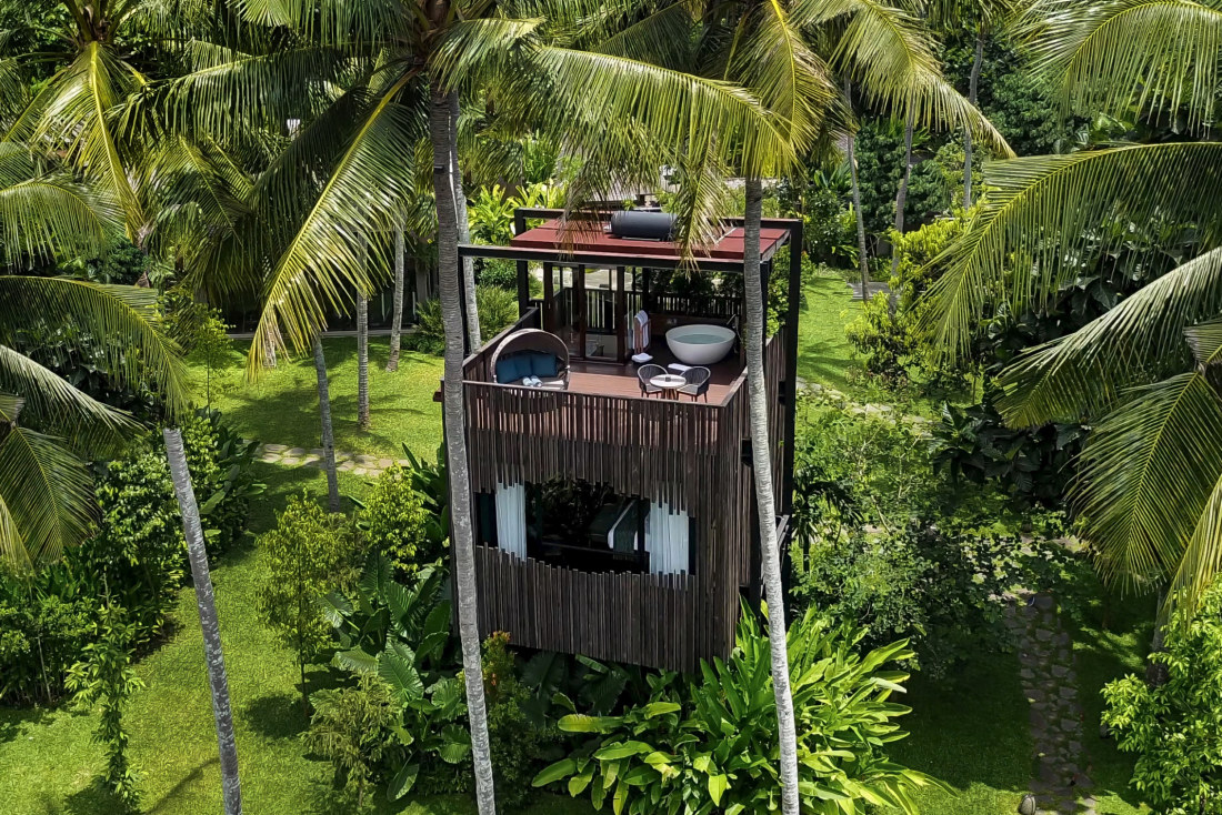 In Bali, everyone wants to stay in a treehouse: here’s why
