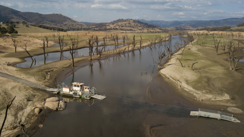 Lake Hume water levels force Wymah Ferry services to cease
