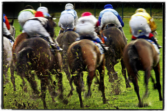 Race-by-race preview and tips for Moree on Friday