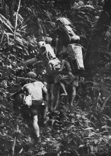 Book review: Christine Helliwell’s Semut chronicles a secret World War ...