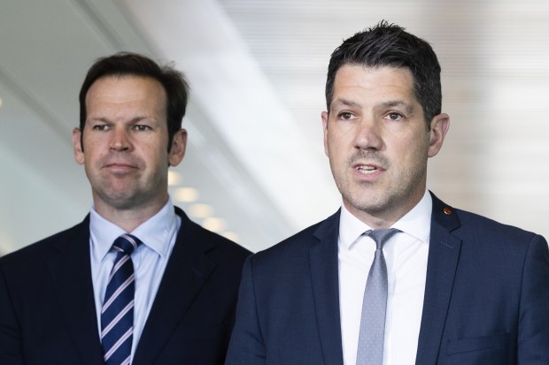 Australia’s social media age restrictions: Coalition MPs Alex Antic ...