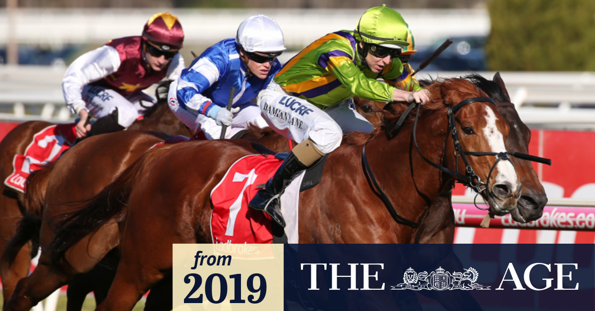 Williams tips SA sprinter to be spring star