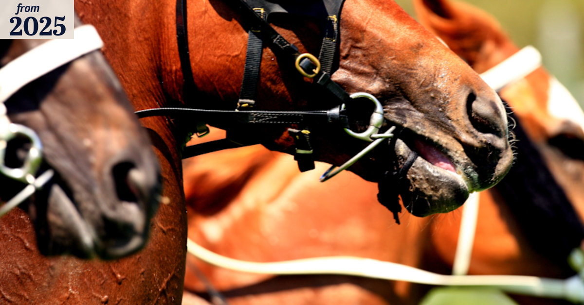 Coonamble races: Tips and previews for Coonamble meeting on Sunday