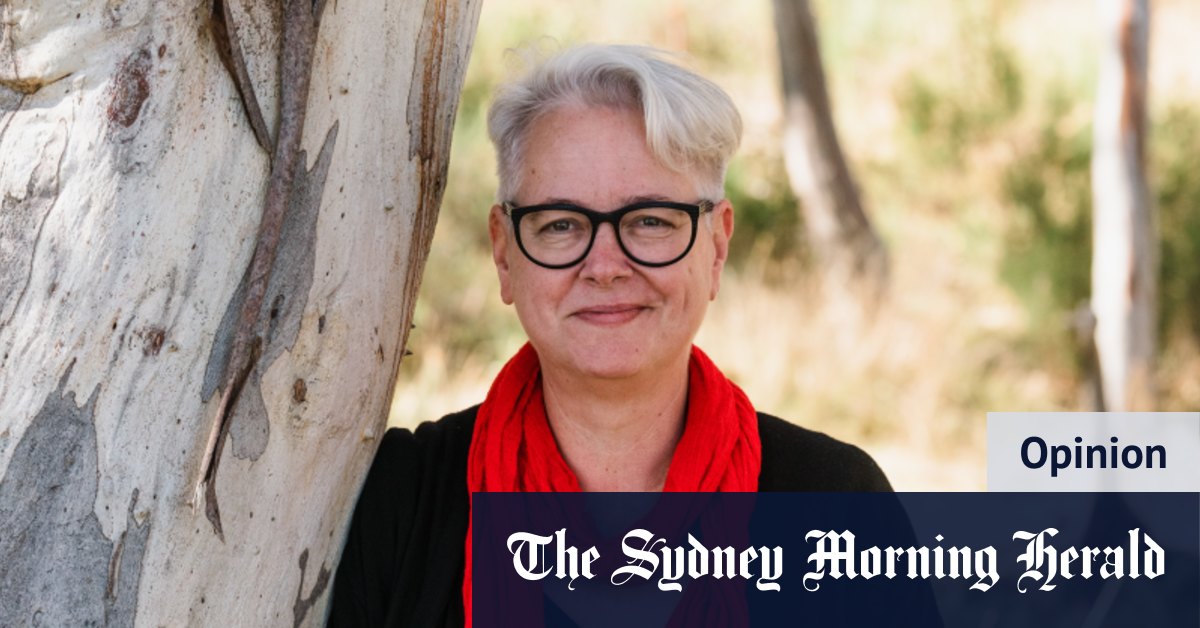 Labor MP Penny Sharpe interview: From hell-raiser to pillar of the ...