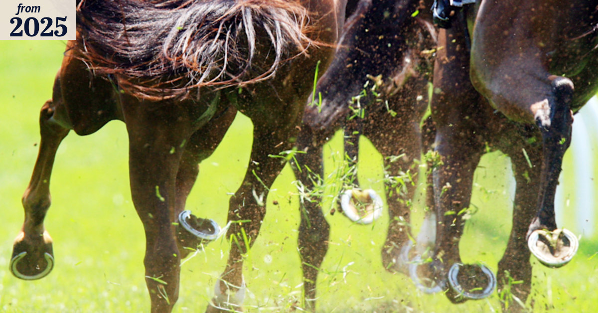Race-by-race preview and tips for Goulburn on Sunday