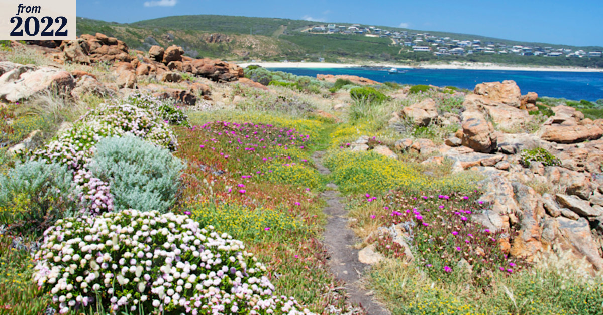 WA holiday accommodation bookings: 99% of summer stays gone in popular ...