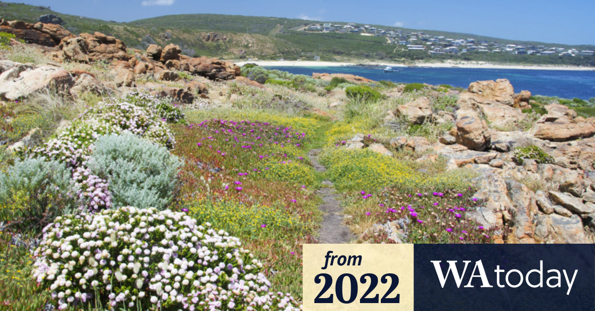 WA holiday accommodation bookings: 99% of summer stays gone in popular ...