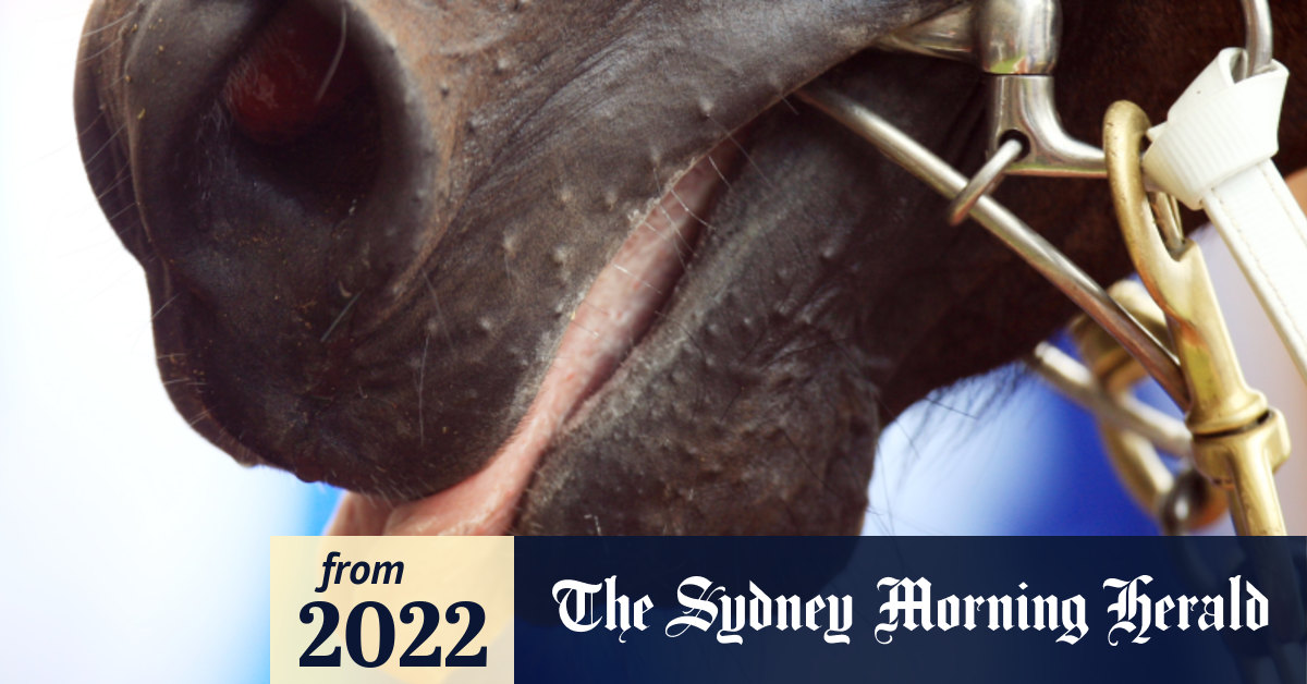 Race-by-race preview and tips for Tamworth (Moree) on Sunday