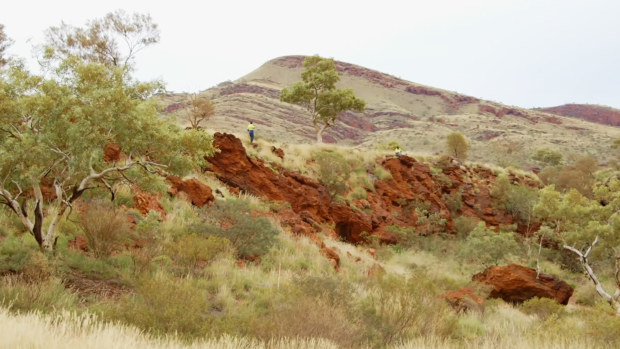 Voice to Parliament referendum: Ex-Rio Tinto CEO Jean-Sebastien Jacques ...