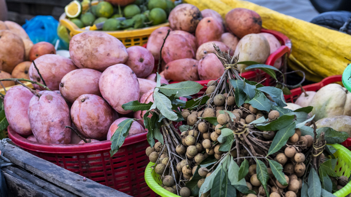 Aussie companies Orlar and SunRice on a mission to diversify farming in ...