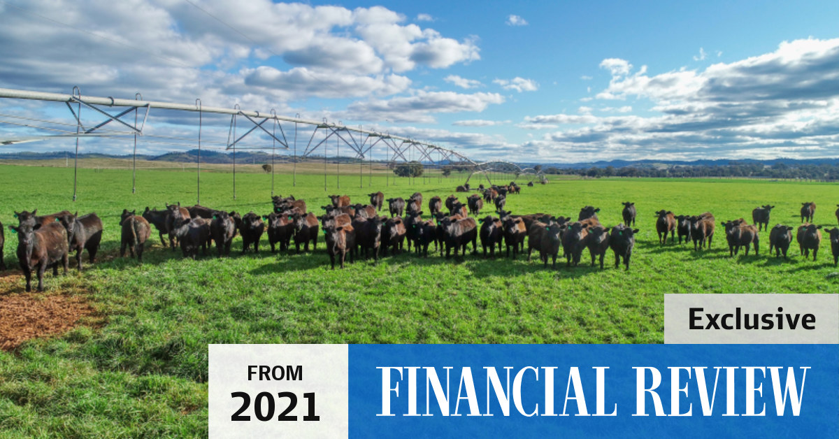 Borg brothers to take Warragundi aggregation out of South Korean hands