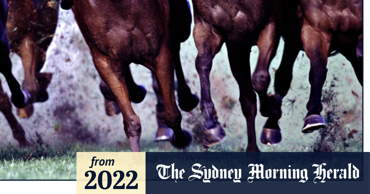 Racing 2022: Bathurst trainer Dean Mirfin seeking to repel Sydney ...