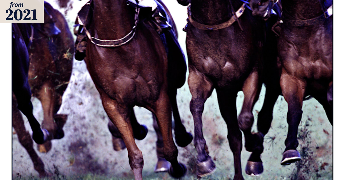 Dubbo races Tuesday tips and full preview