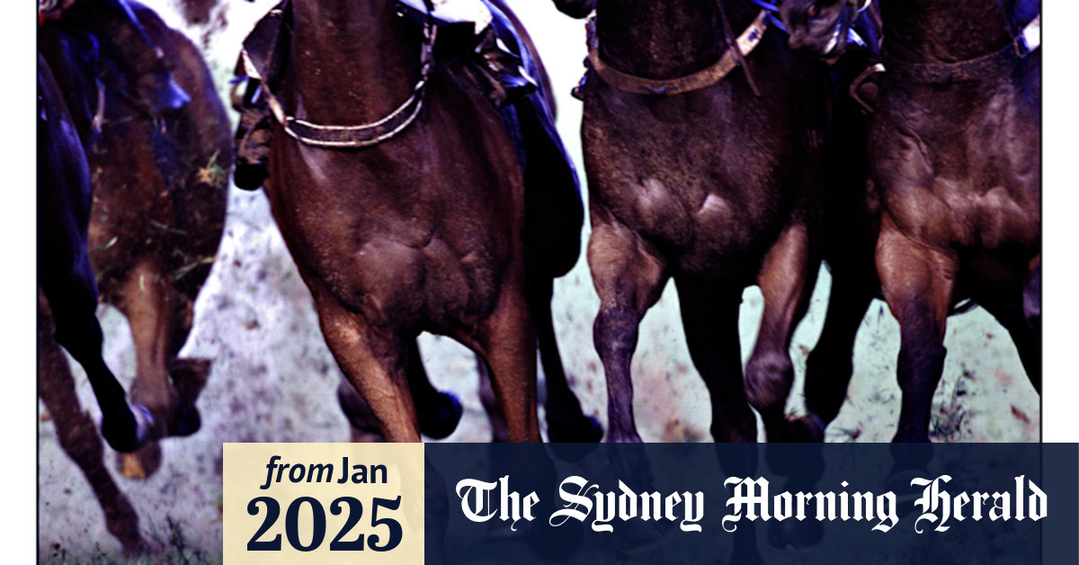 Outback Ringer looking good for Summer Sizzler at Muswellbrook