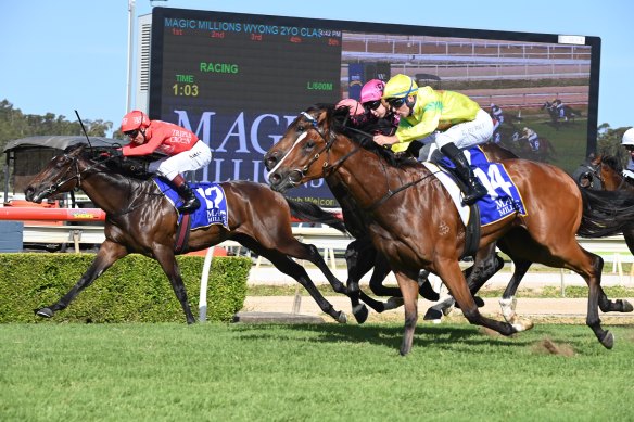 Wyong races: Race-by-race tips and previews for Sunday’s Wyong meeting