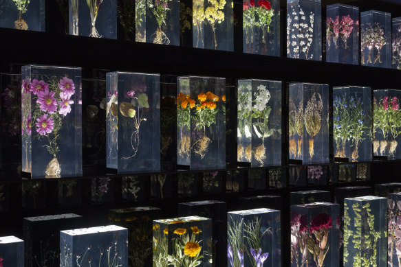 Floribunda exhibition at Bunjil Place Gallery celebrates the role of ...