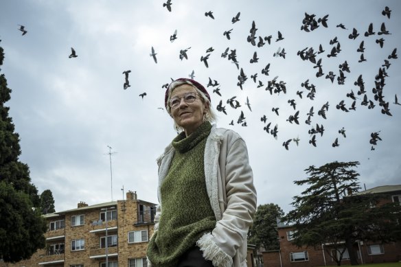 Ascot Vale public housing estate: Renovating could save millions over ...