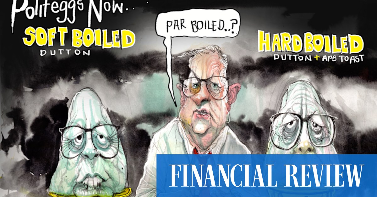 David Rowe cartoons for the Australian Financial Review January 2025