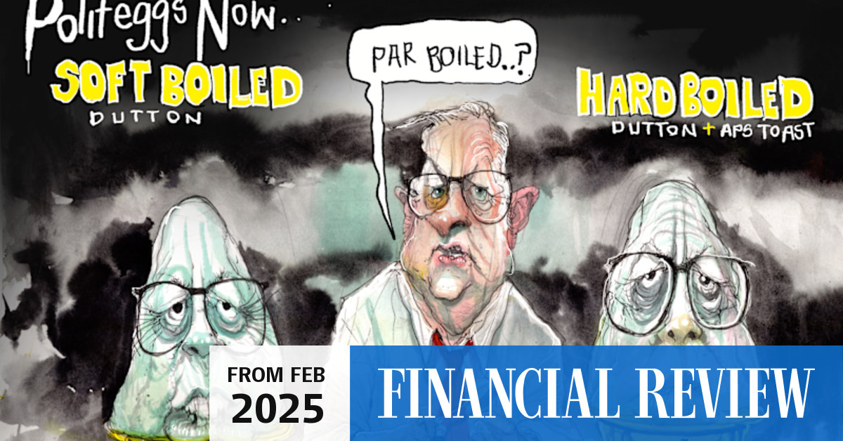 David Rowe cartoons for the Australian Financial Review January 2025