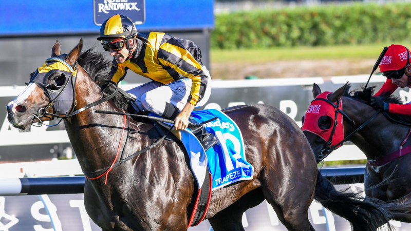 Trapeze Artist bound for The Everest after stud option taken off table