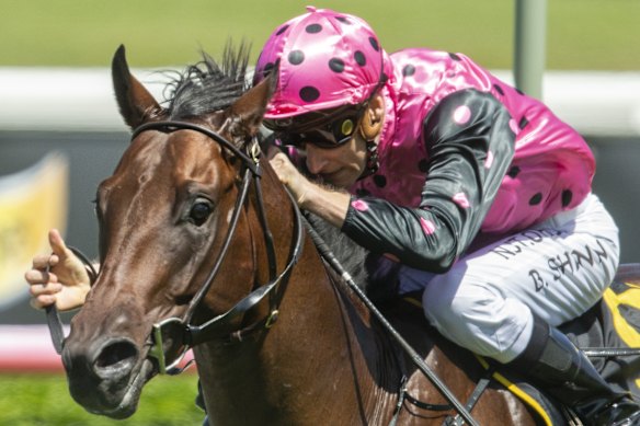 Hungry Heart and Mamaragan add to wide open Golden Slipper