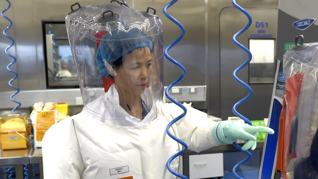 COVID-19 Wuhan lab leak theory: a Chinese official for the first time ...