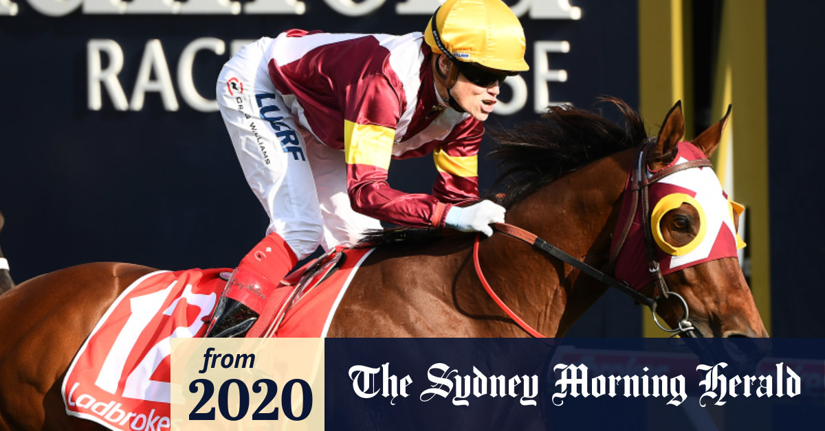 Smith has blinkered view towards group 1 racing with Fierce Impact