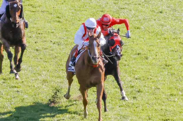 Giga Kick wins $15m Everest in huge upset