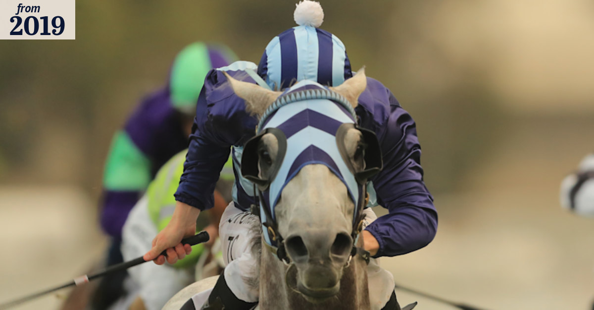 Spending To Win boosts spirits of owners as grey chases more glory