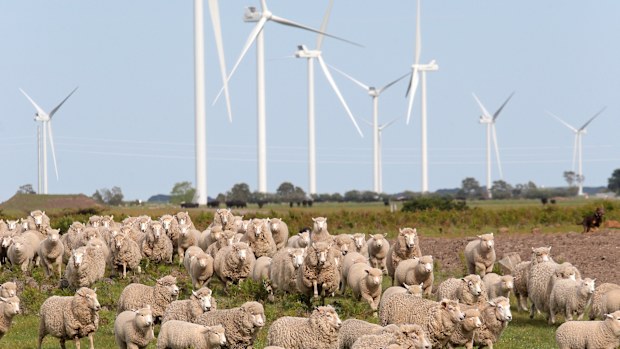 Morrison & Co puts Macarthur Wind Farm on the block, eyes $1b sale
