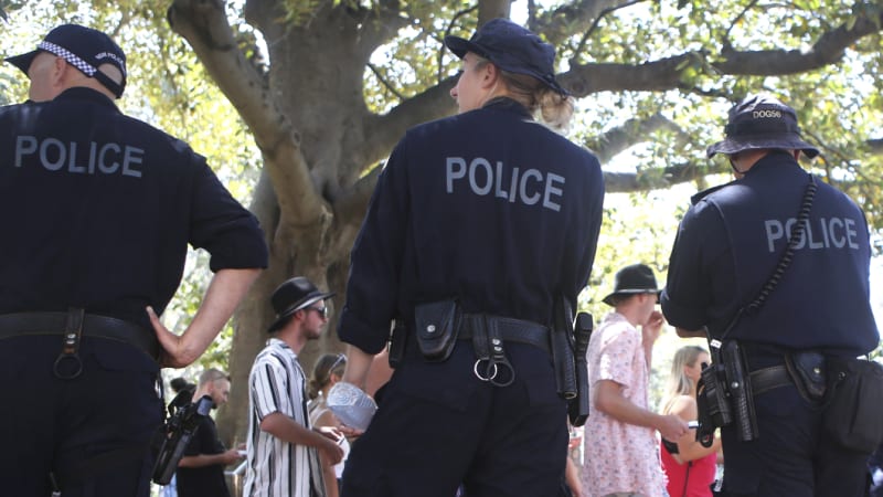 'They just panic and take their drugs': Field Day for police at festival