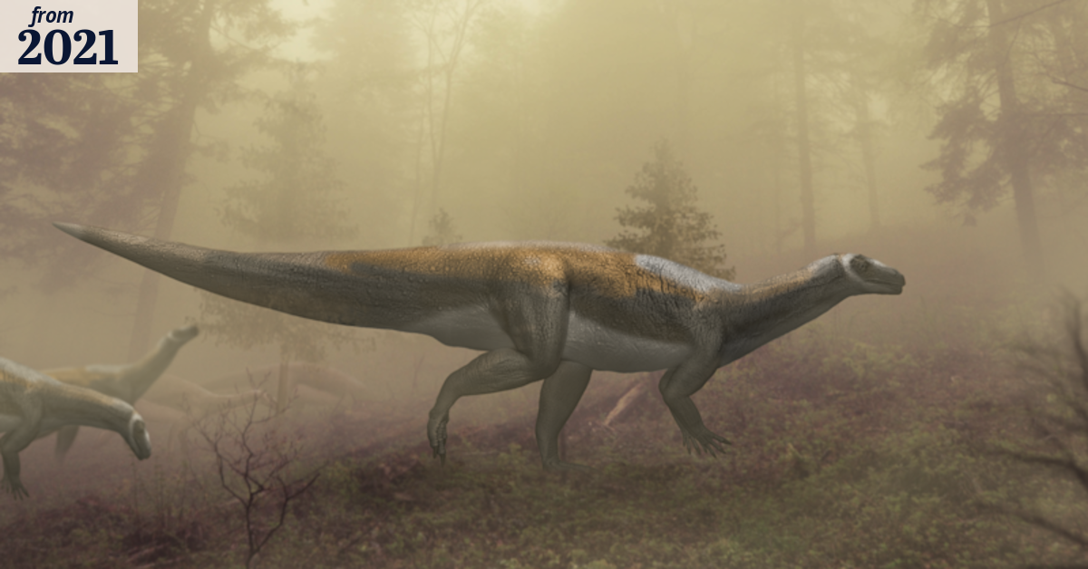Dino detectives solve 220 million-year-old case of mistaken identity
