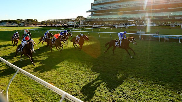 Race-by-race preview and tips for Kensington on Wednesday