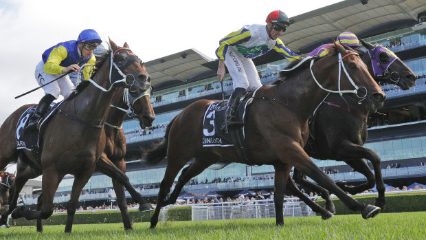 Tamworth races Friday tips and full preview